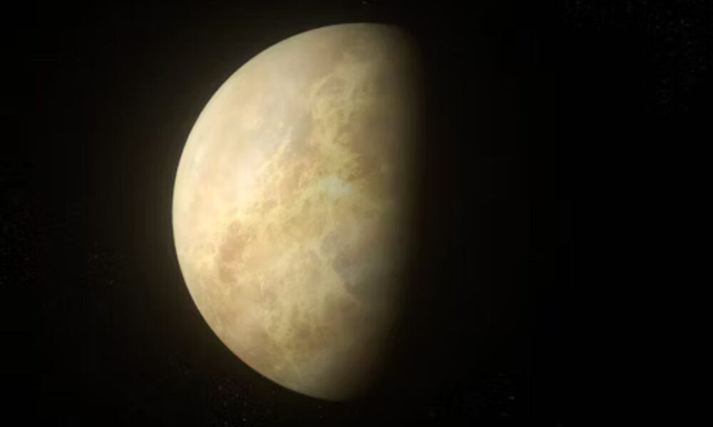 Venus Lusk: All You Need to Know